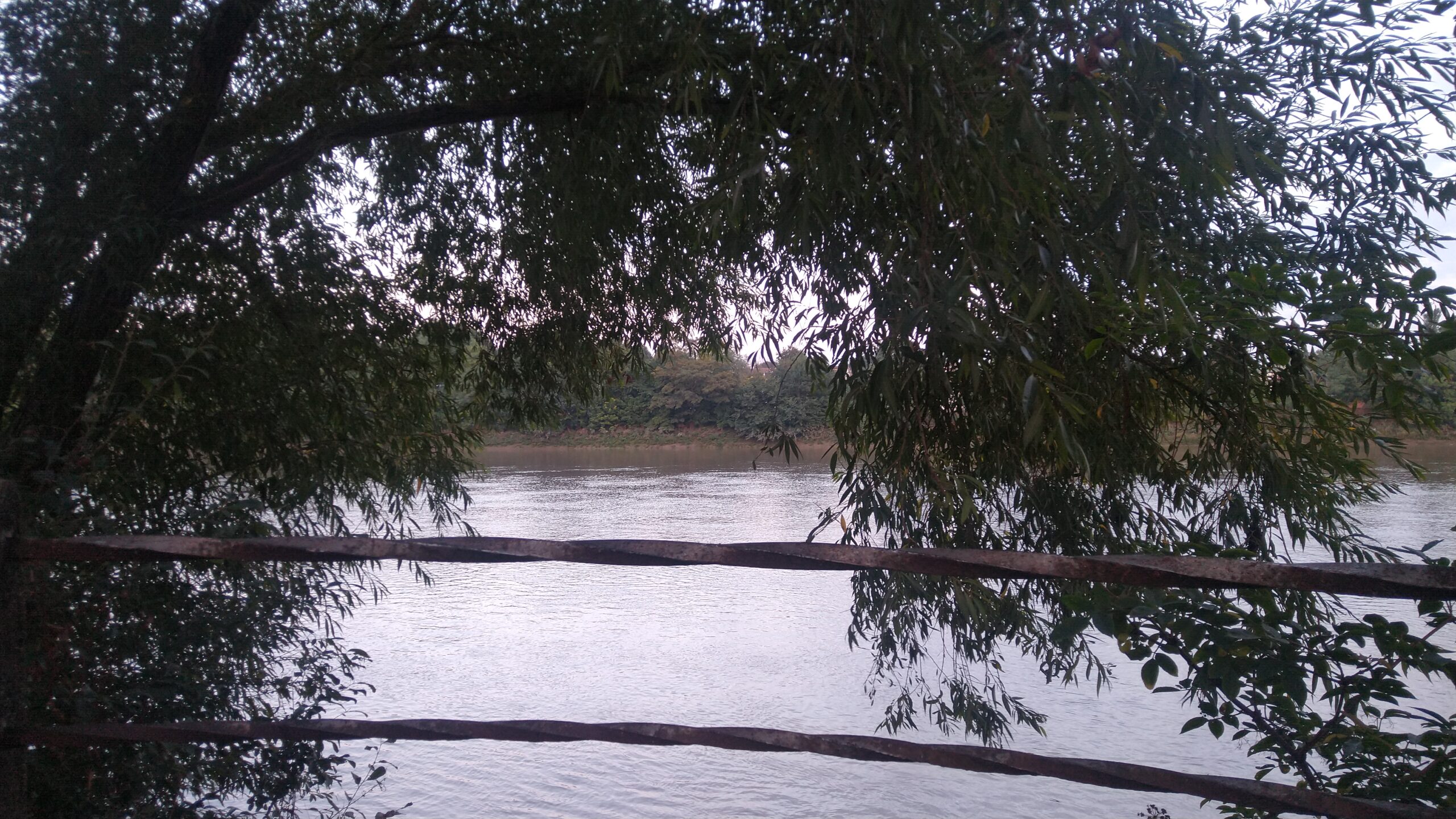 Homepage - April Haesler - Therapy and Counselling