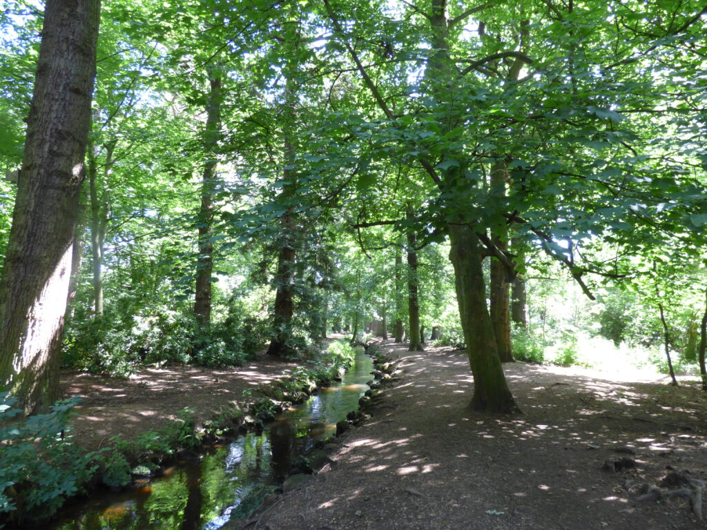 Homepage - April Haesler - Therapy and Counselling